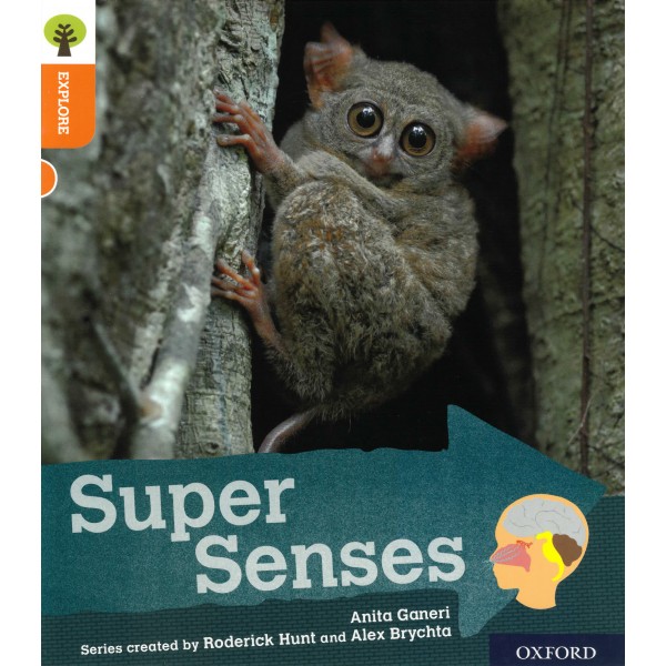 ORT Explore Level 6 Mixed